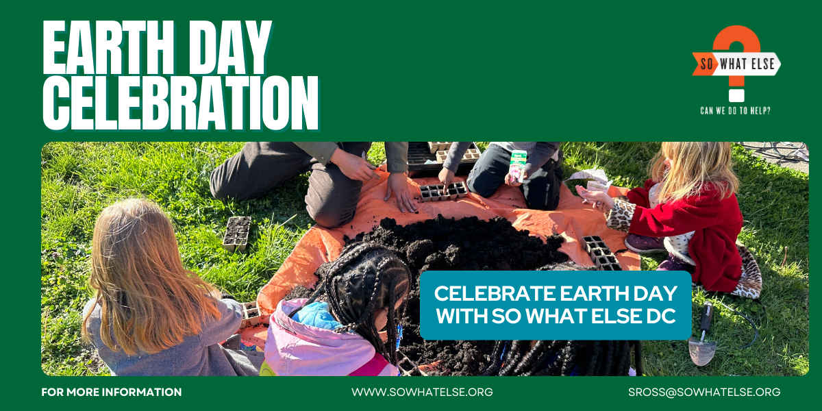 So What Else DC Earth Day Celebration - So What Else Inc